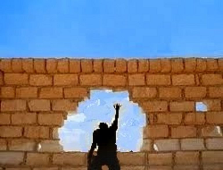 Tapando as Brechas - Thaisa Fernandes